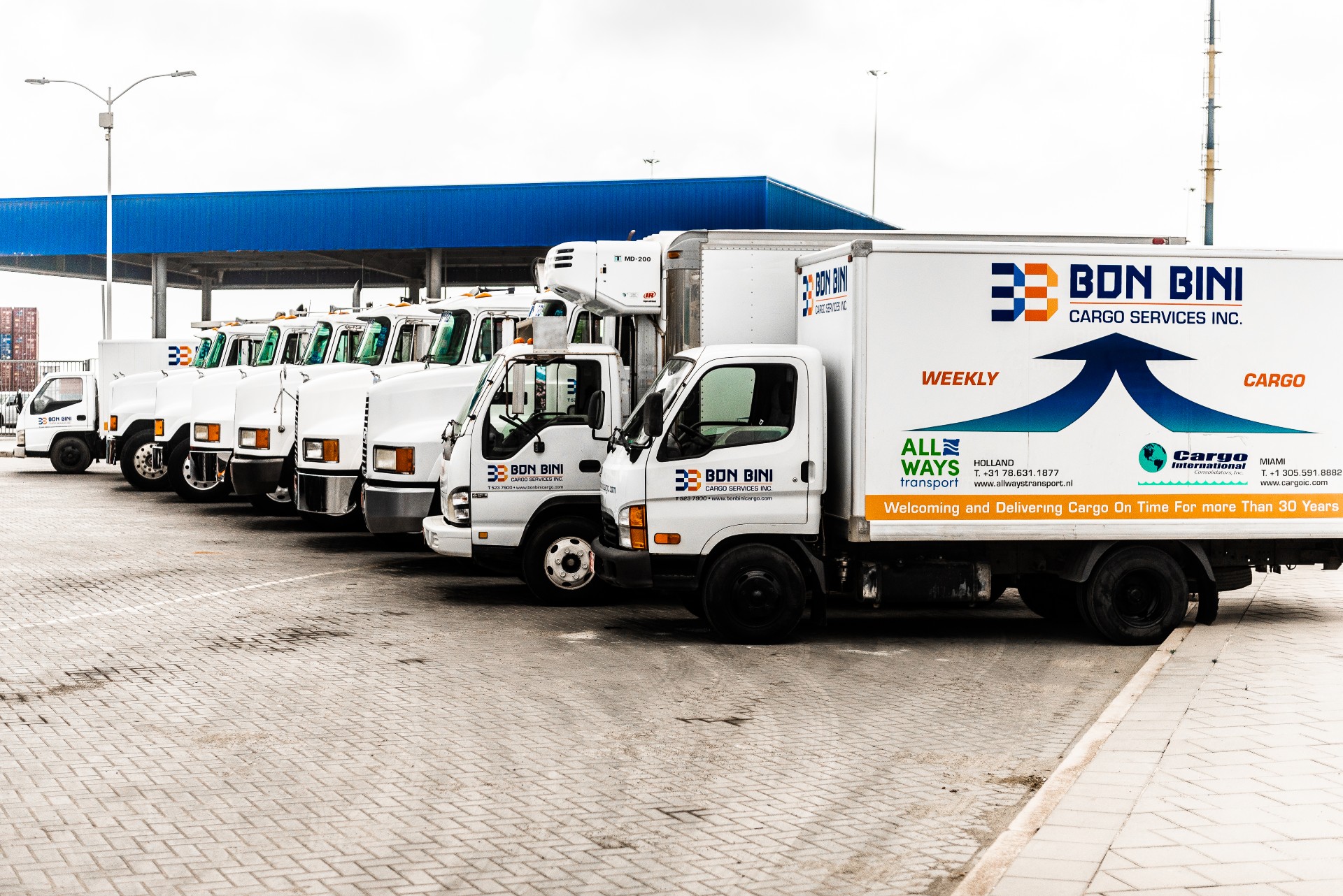 Frozen - Bon Bini Cargo Services Inc.